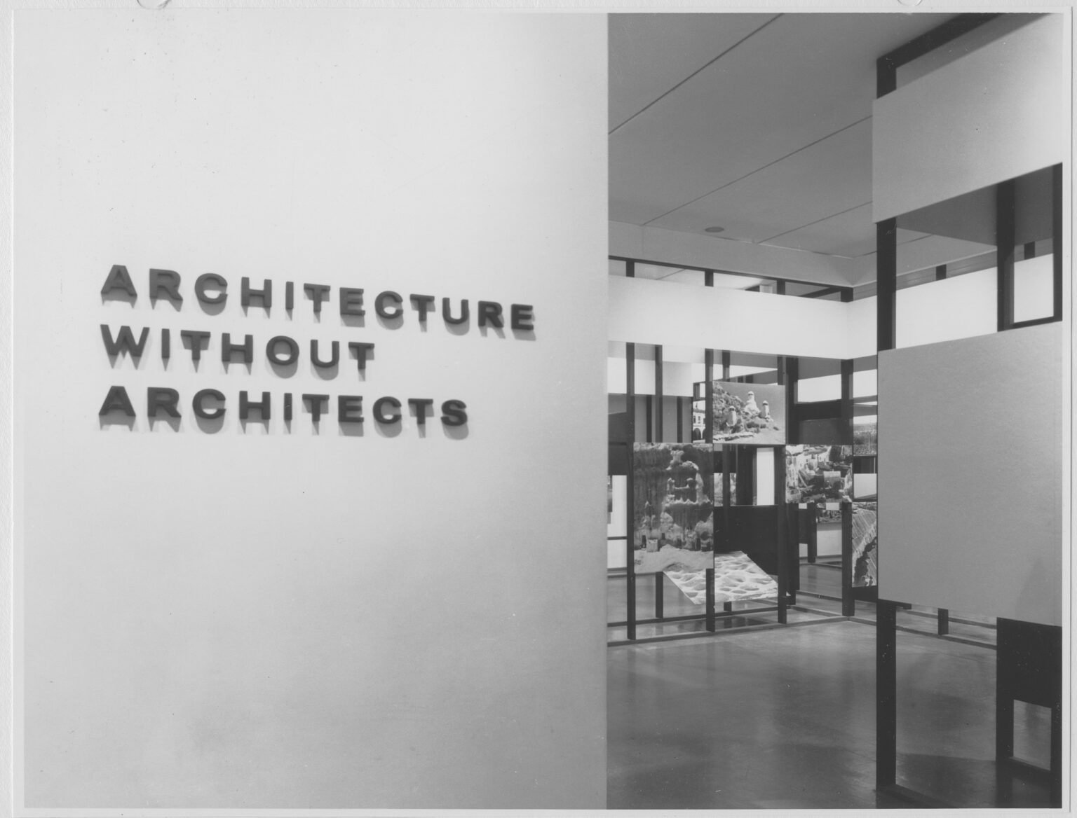 In Quest of Meaning – Revisiting the discourse around “non-pedigreed ...